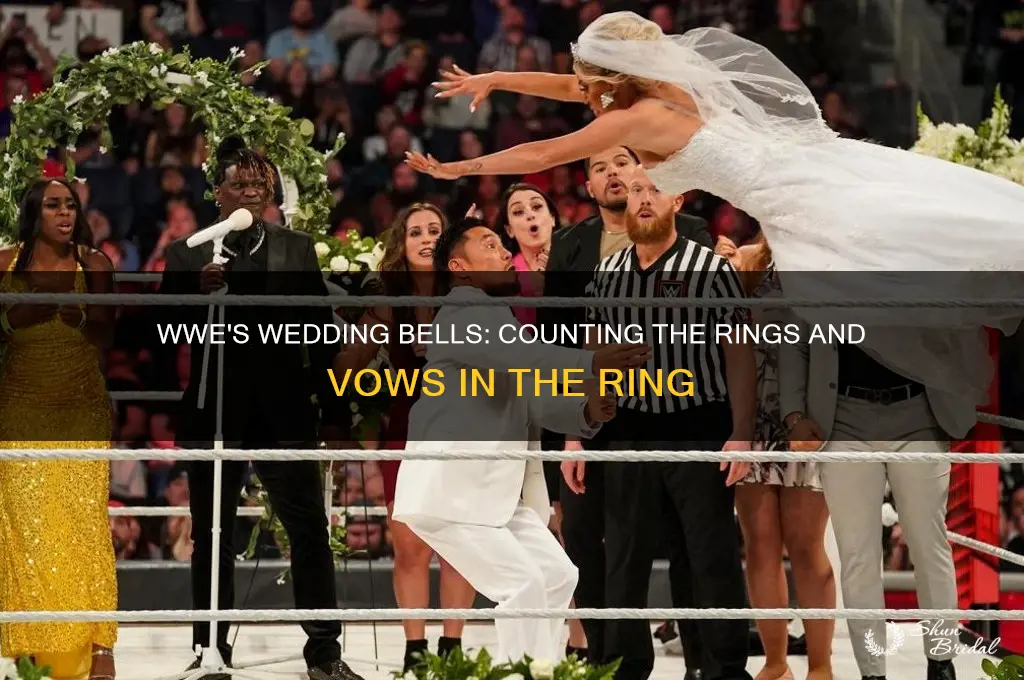 Wwe's Wedding Bells: Counting The Rings And Vows In The Ring | ShunBridal