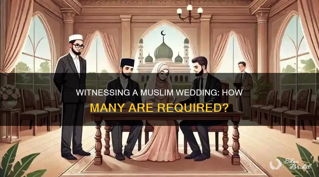Witnessing A Muslim Wedding: How Many Are Required? | ShunBridal