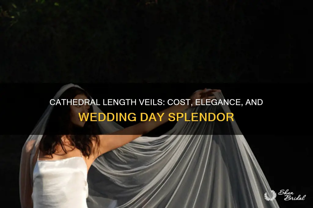 Cathedral Length Veils: Cost, Elegance, And Wedding Day Splendor ...