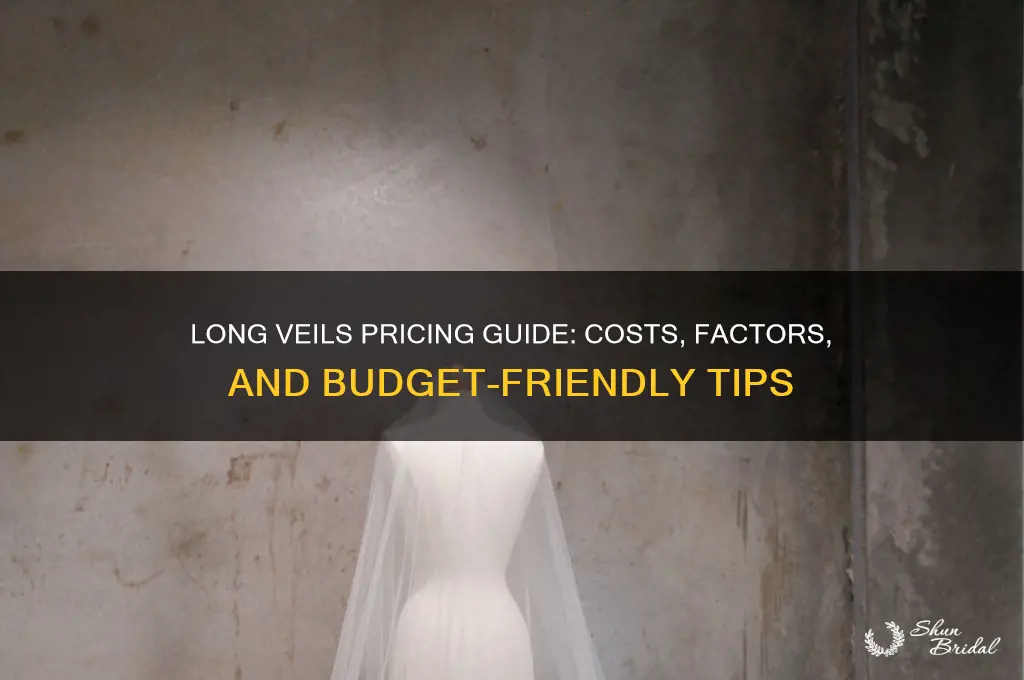Long Veils Pricing Guide: Costs, Factors, And Budget-Friendly Tips ...