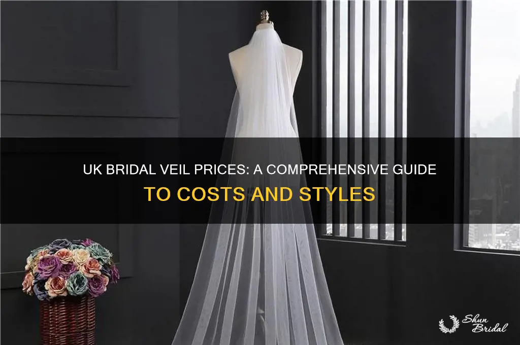 Uk Bridal Veil Prices: A Comprehensive Guide To Costs And Styles ...