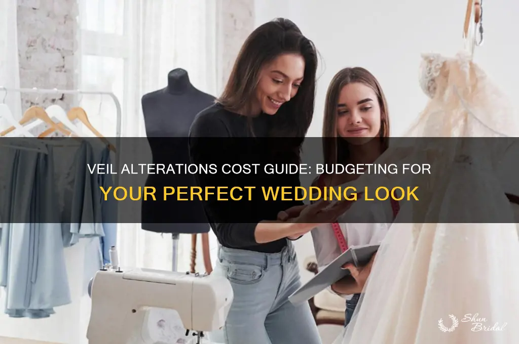 Veil Alterations Cost Guide: Budgeting For Your Perfect Wedding Look ...