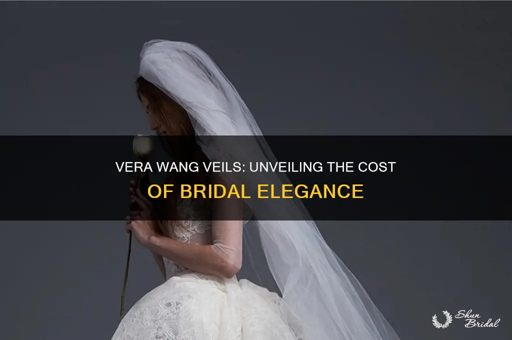 Vera Wang Veils: Unveiling The Cost Of Bridal Elegance | ShunBridal