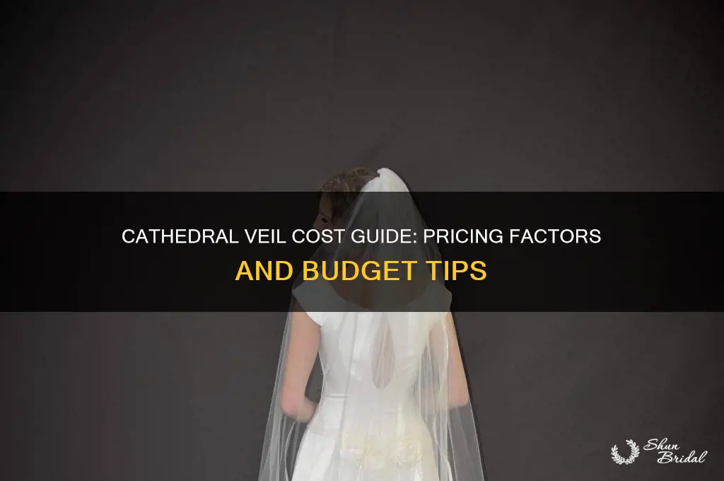 Cathedral Veil Cost Guide: Pricing Factors And Budget Tips | ShunBridal