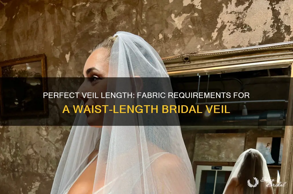 Perfect Veil Length: Fabric Requirements For A Waist-Length Bridal Veil ...