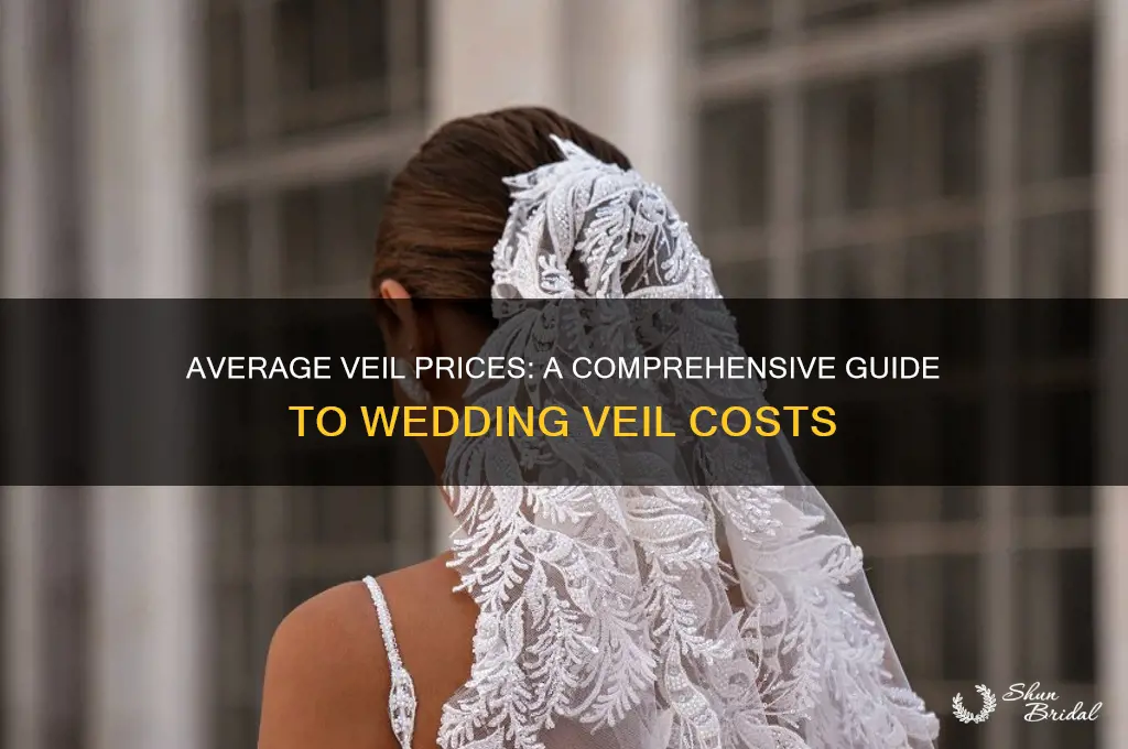 Average Veil Prices: A Comprehensive Guide To Wedding Veil Costs ...