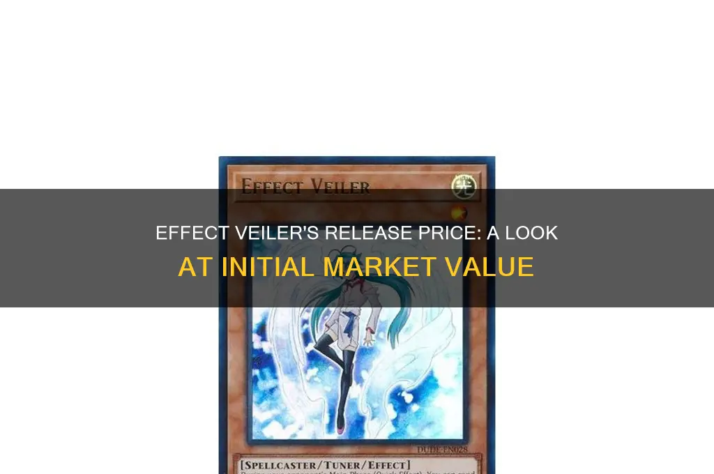 Effect Veiler's Release Price: A Look At Initial Market Value | ShunBridal