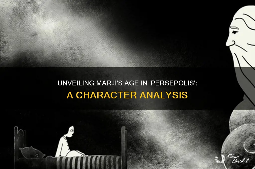 Unveiling Marji's Age In 'Persepolis': A Character Analysis | ShunBridal