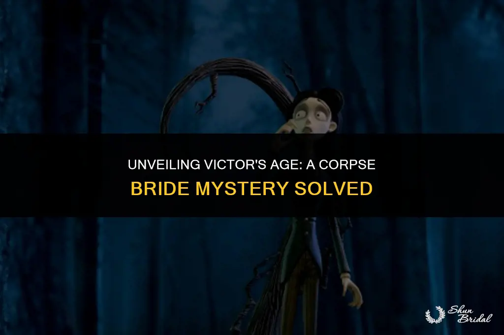 Unveiling Victor's Age: A Corpse Bride Mystery Solved | ShunBridal
