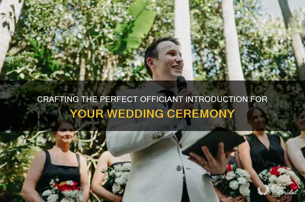 Crafting The Perfect Officiant Introduction For Your Wedding Ceremony ...