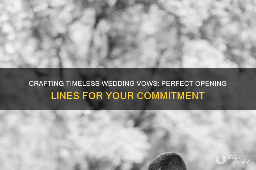Crafting Timeless Wedding Vows: Perfect Opening Lines For Your ...