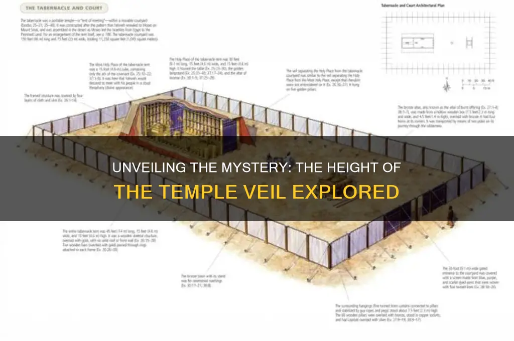Unveiling The Mystery: The Height Of The Temple Veil Explored | ShunBridal