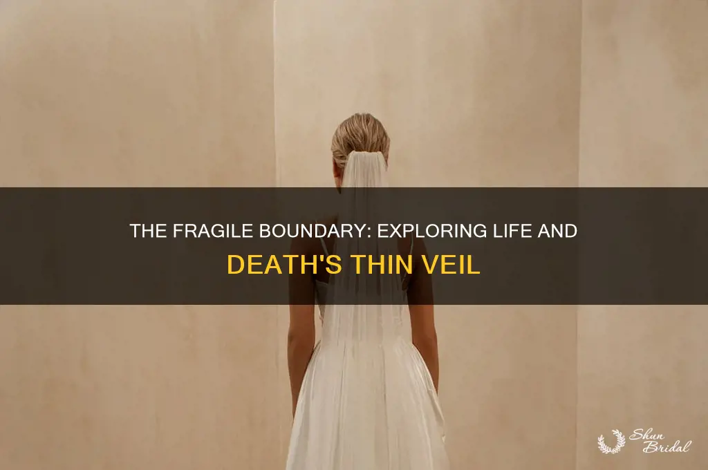 The Fragile Boundary: Exploring Life And Death's Thin Veil | ShunBridal