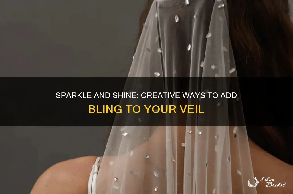 Sparkle And Shine: Creative Ways To Add Bling To Your Veil | ShunBridal