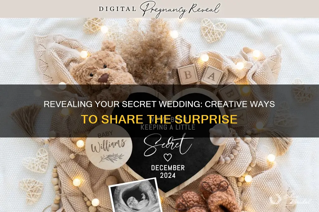 Revealing Your Secret Wedding: Creative Ways To Share The Surprise ...
