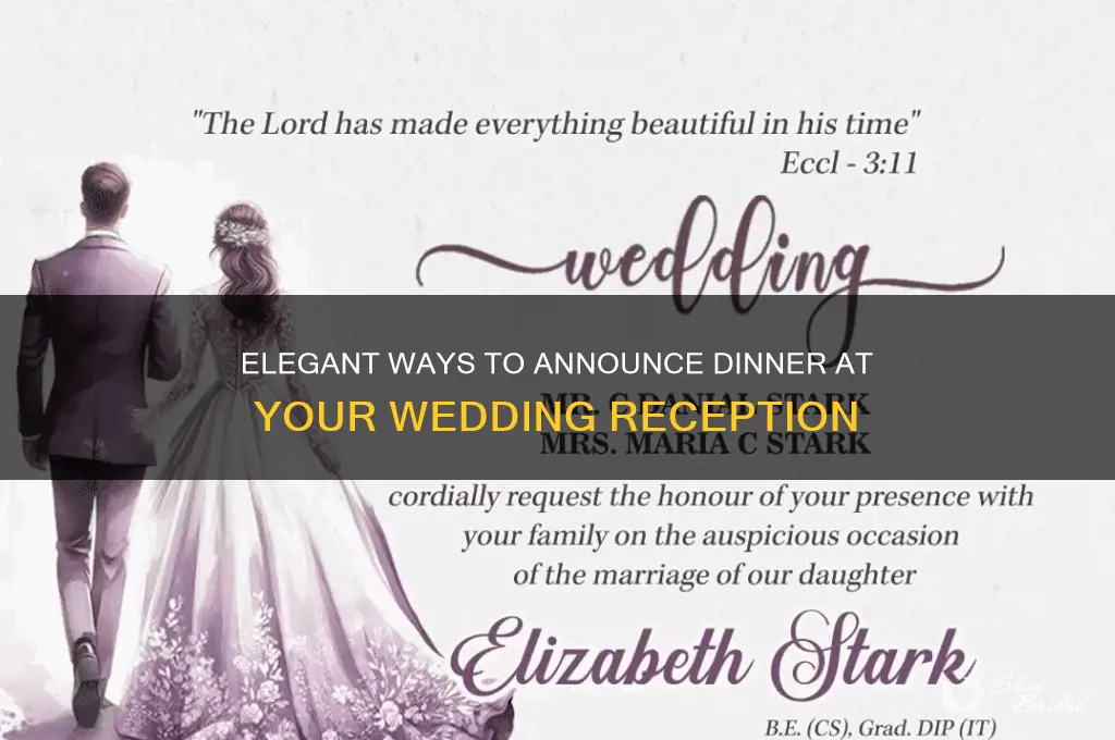 Elegant Ways To Announce Dinner At Your Wedding Reception | ShunBridal