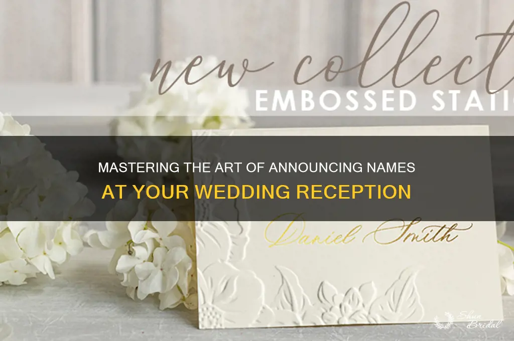 Mastering The Art Of Announcing Names At Your Wedding Reception ...
