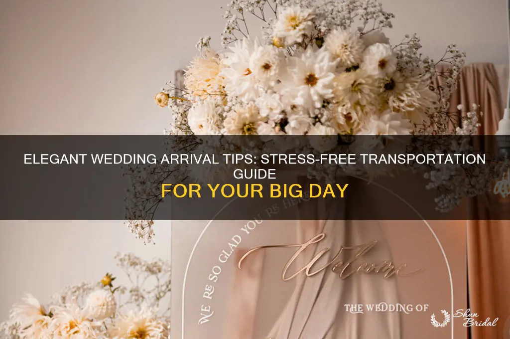 Elegant Wedding Arrival Tips: Stress-Free Transportation Guide For Your ...