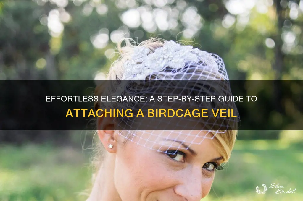 Effortless Elegance: A Step-By-Step Guide To Attaching A Birdcage Veil ...