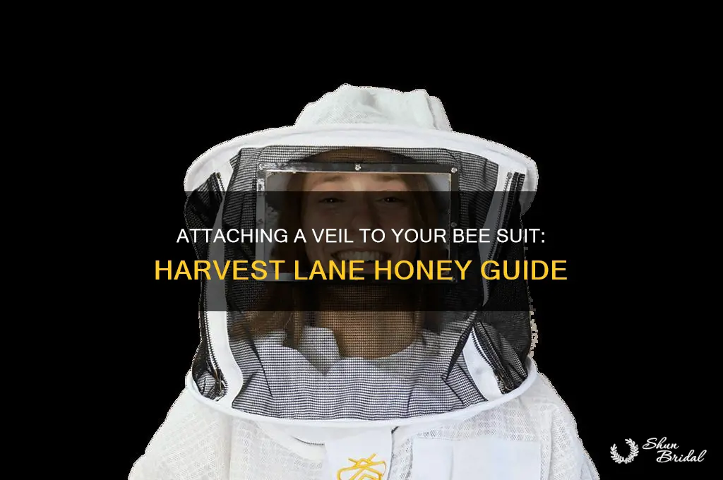 Attaching A Veil To Your Bee Suit: Harvest Lane Honey Guide | ShunBridal