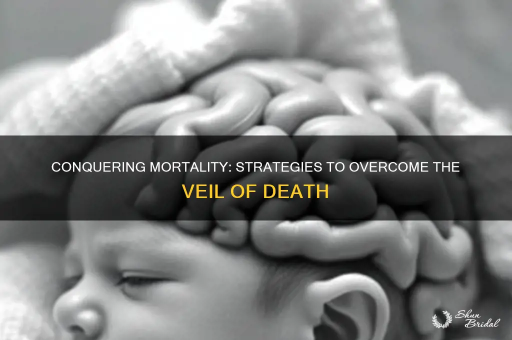 Conquering Mortality: Strategies To Overcome The Veil Of Death | ShunBridal