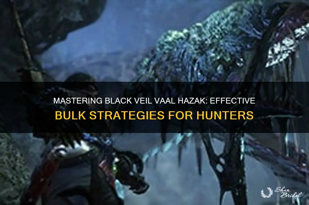 Mastering Black Veil Vaal Hazak: Effective Bulk Strategies For Hunters ...