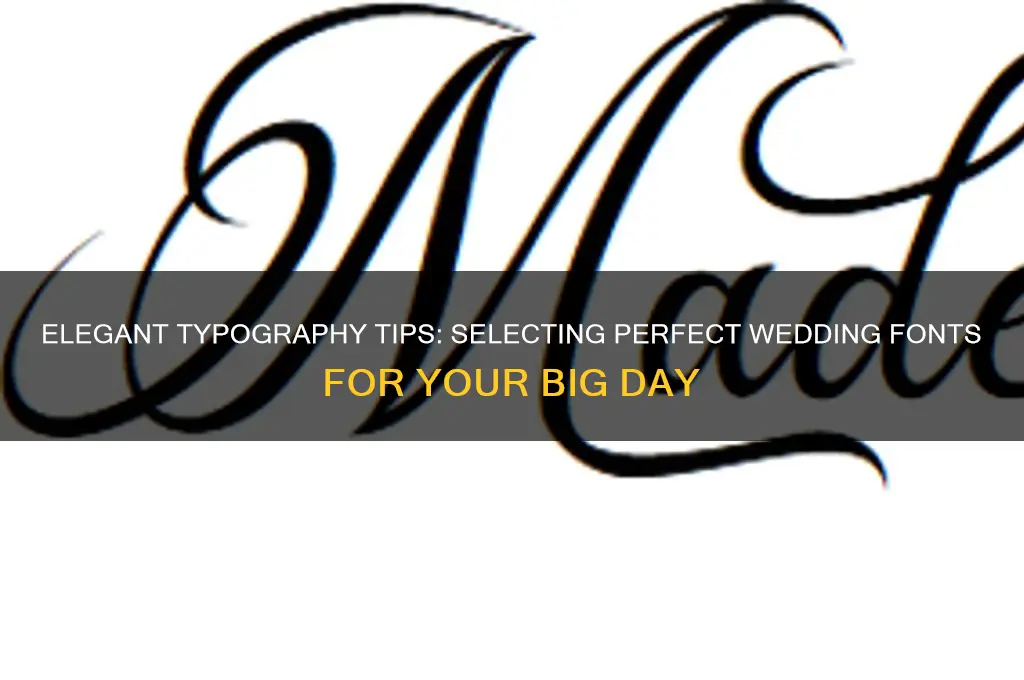 Elegant Typography Tips: Selecting Perfect Wedding Fonts For Your Big ...