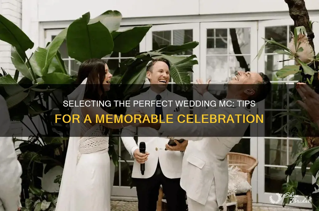 Selecting The Perfect Wedding Mc: Tips For A Memorable Celebration ...