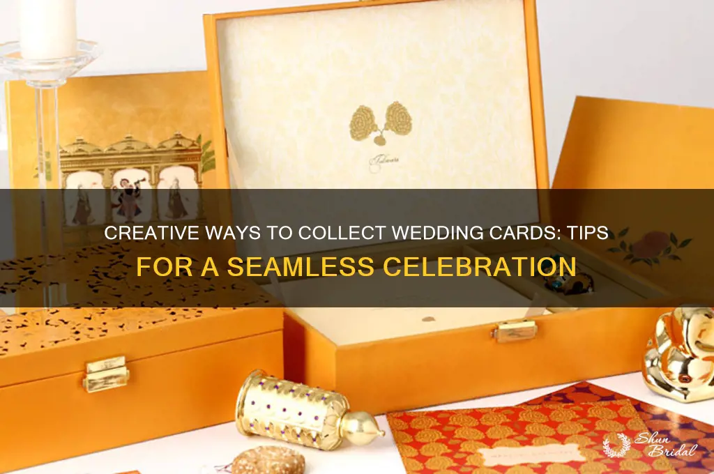 Creative Ways To Collect Wedding Cards: Tips For A Seamless Celebration ...