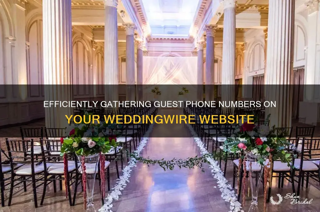 Efficiently Gathering Guest Phone Numbers On Your Weddingwire Website ...