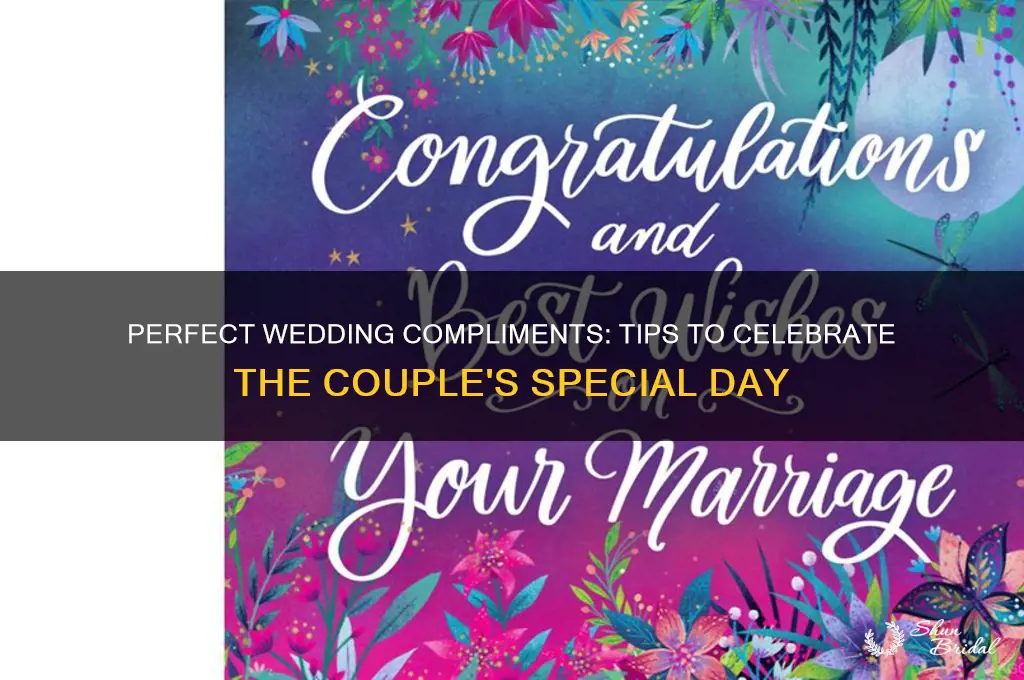 Perfect Wedding Compliments: Tips To Celebrate The Couple's Special Day ...