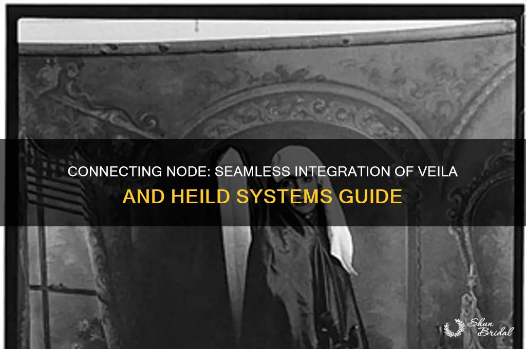 Connecting Node: Seamless Integration Of Veila And Heild Systems Guide ...