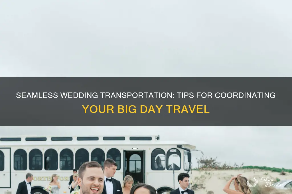 Seamless Wedding Transportation: Tips For Coordinating Your Big Day ...