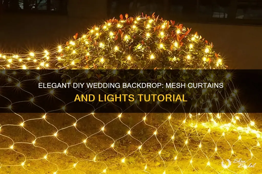 Elegant Diy Wedding Backdrop: Mesh Curtains And Lights Tutorial ...