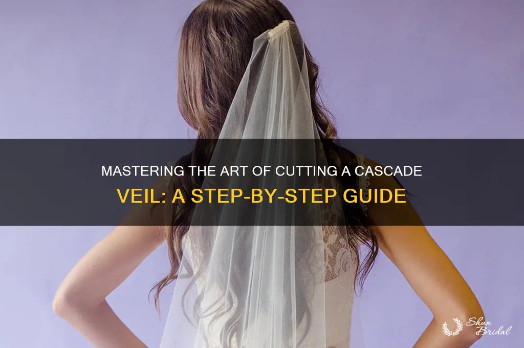 Mastering The Art Of Cutting A Cascade Veil: A Step-By-Step Guide ...