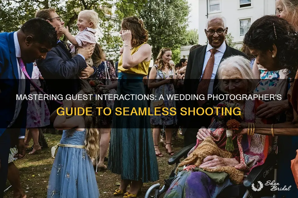 Mastering Guest Interactions: A Wedding Photographer's Guide To ...