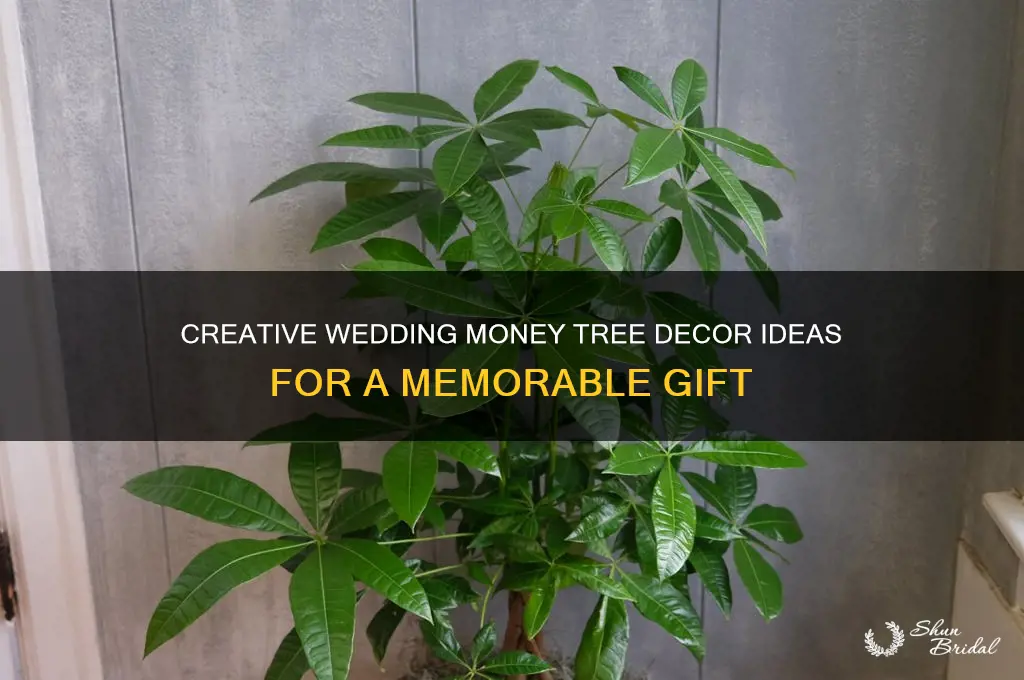 Creative Wedding Money Tree Decor Ideas For A Memorable Gift | ShunBridal