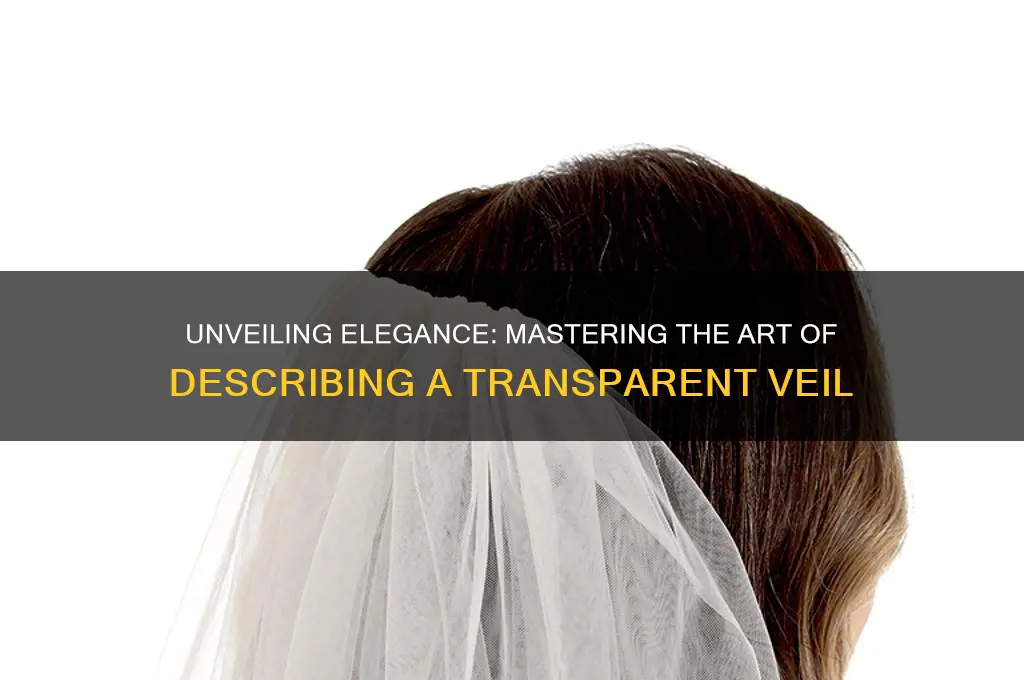 Unveiling Elegance: Mastering The Art Of Describing A Transparent Veil ...