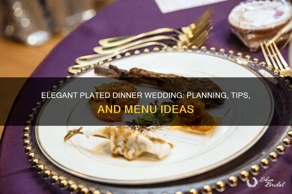 Elegant Plated Dinner Wedding: Planning, Tips, And Menu Ideas | ShunBridal