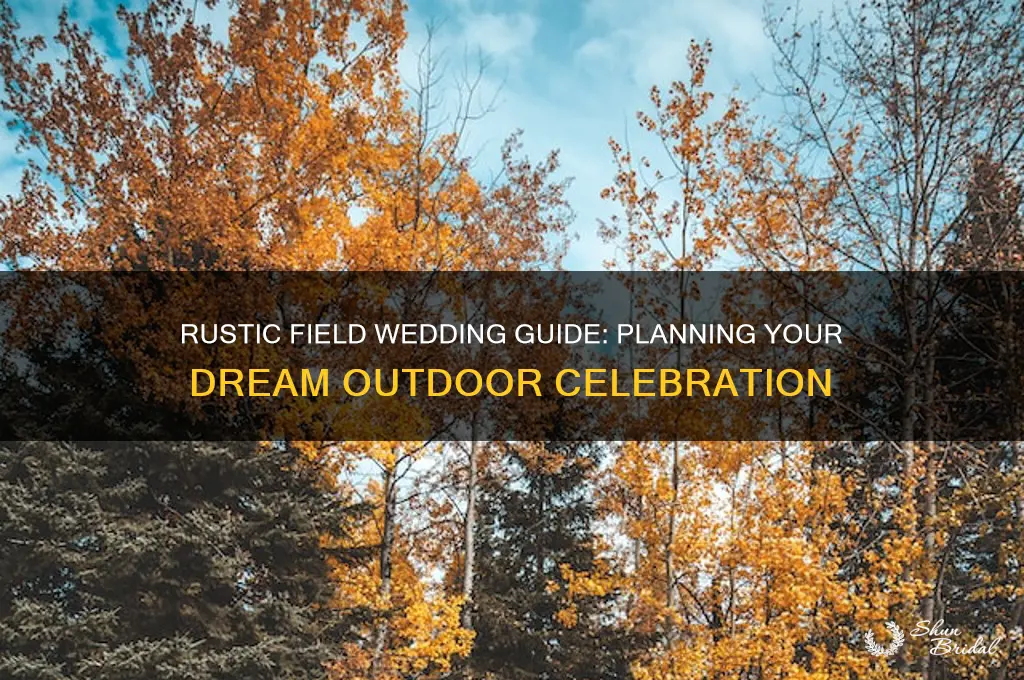Rustic Field Wedding Guide: Planning Your Dream Outdoor Celebration ...