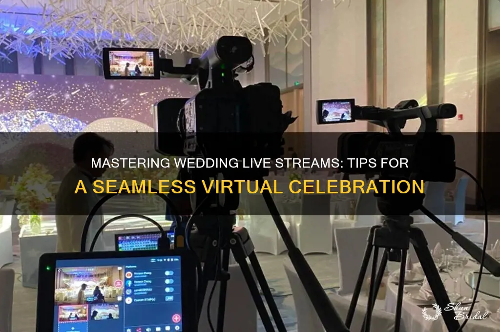 Mastering Wedding Live Streams: Tips For A Seamless Virtual Celebration ...