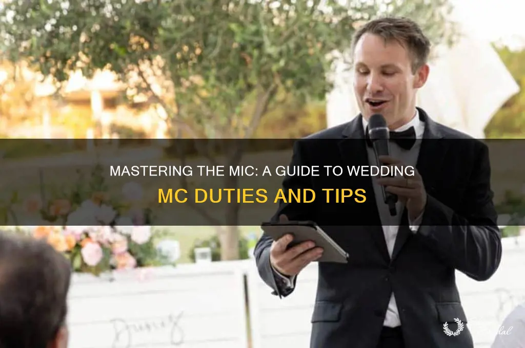 Mastering The Mic: A Guide To Wedding Mc Duties And Tips | ShunBridal