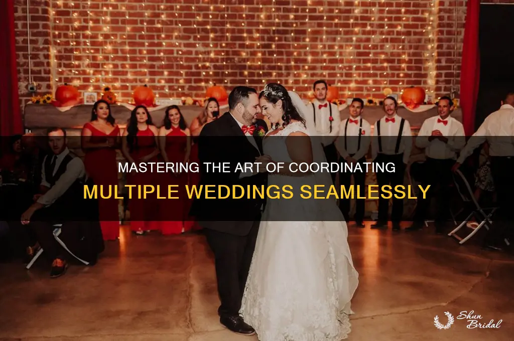 Mastering The Art Of Coordinating Multiple Weddings Seamlessly | ShunBridal