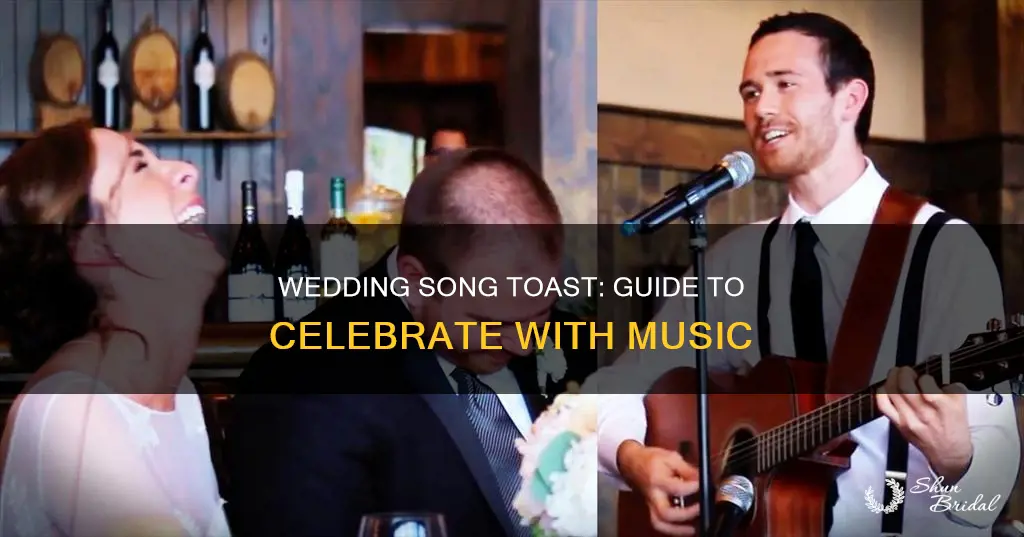 Wedding Song Toast: Guide To Celebrate With Music | ShunBridal