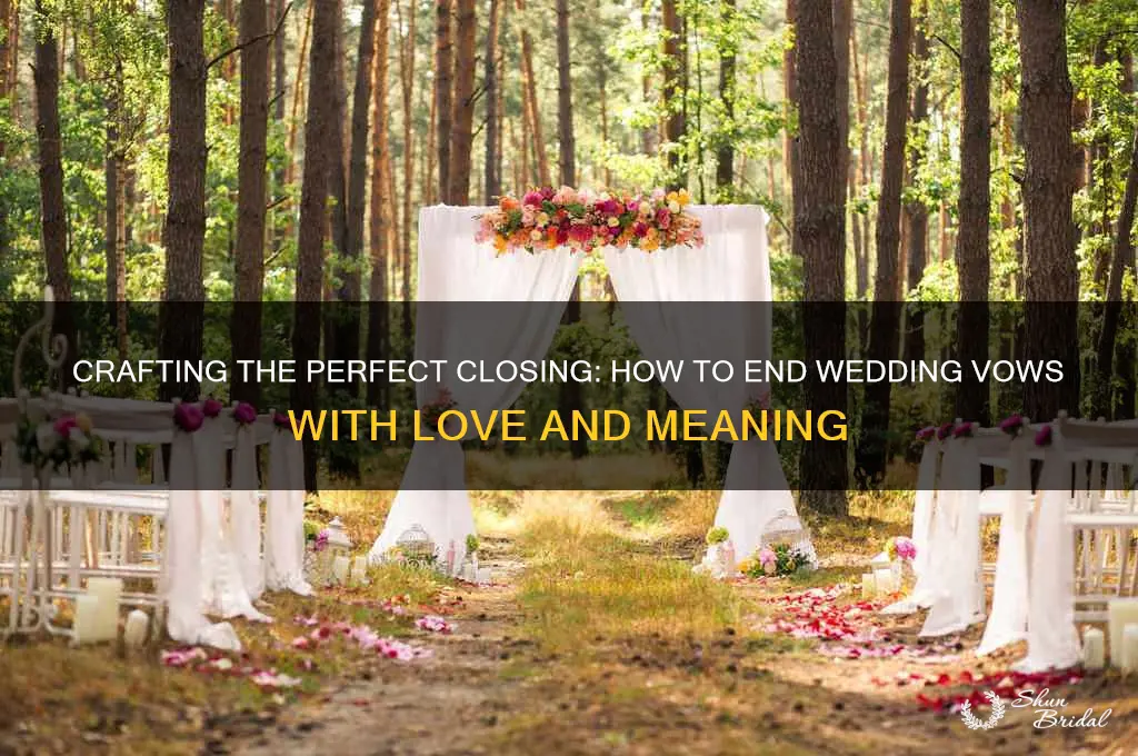 Crafting The Perfect Closing: How To End Wedding Vows With Love And ...