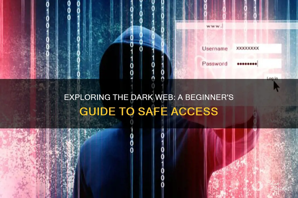 Exploring The Dark Web: A Beginner's Guide To Safe Access | ShunBridal