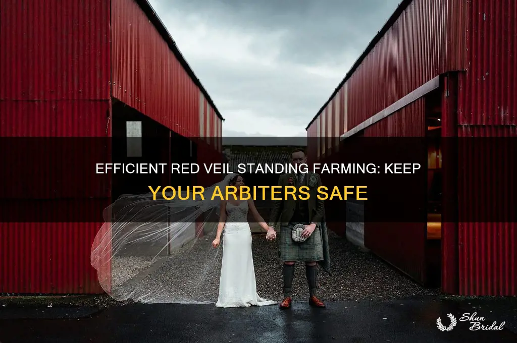 Efficient Red Veil Standing Farming: Keep Your Arbiters Safe | ShunBridal