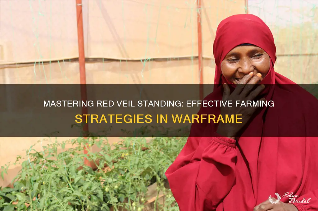 Mastering Red Veil Standing: Effective Farming Strategies In Warframe ...