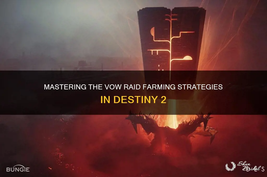 Mastering The Vow Raid Farming Strategies In Destiny 2 | ShunBridal