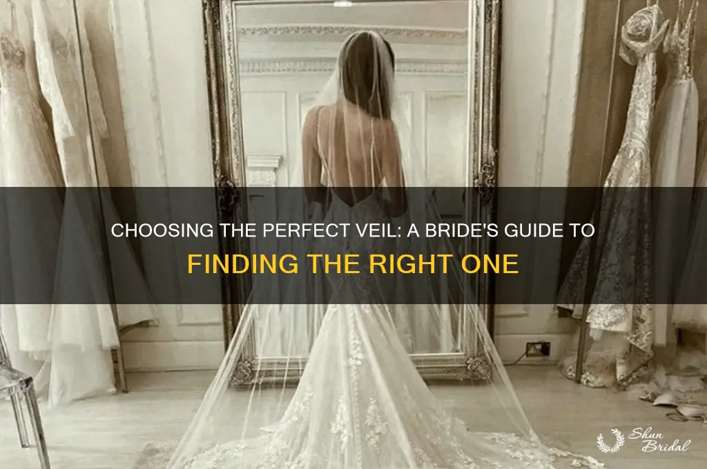 Choosing The Perfect Veil: A Bride's Guide To Finding The Right One ...